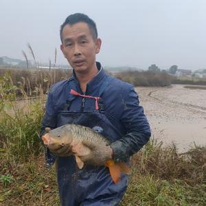湖南农村老吴 
