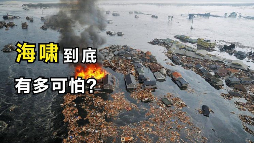 海啸到底多可怕?日本损失近两万亿,南亚近25万人丧生!