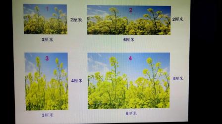 图形的放大与缩小