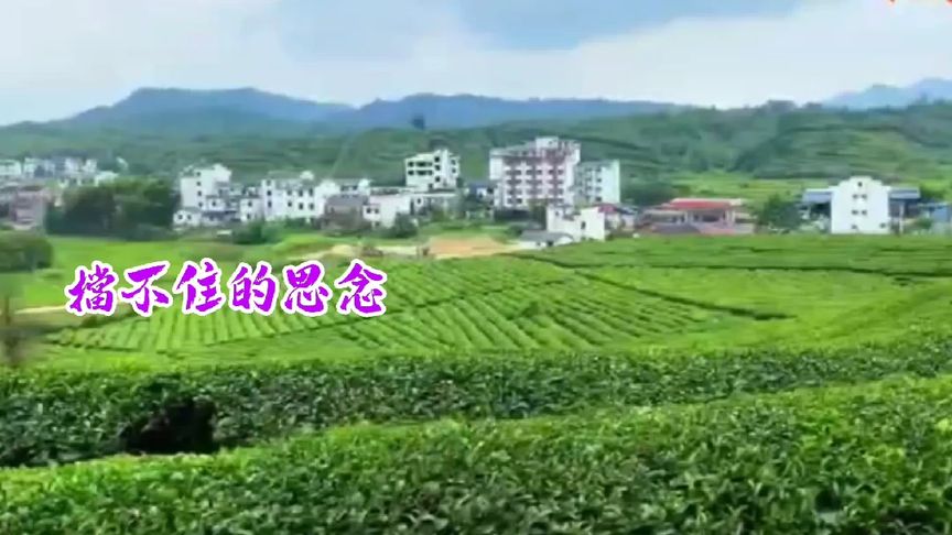 一首《挡不住的思念》,情深意浓,感人心弦,满满的思念!