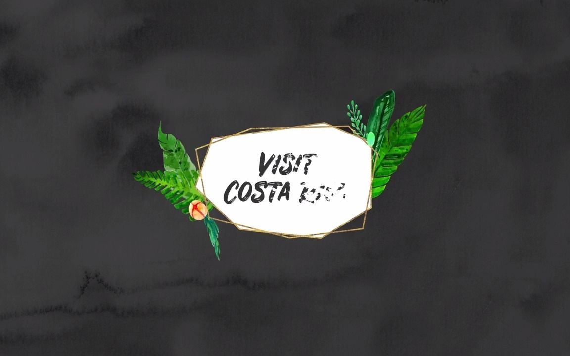 热带夏季水彩视频动画特效AE模板