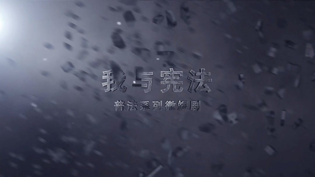 我与宪法系列之人大代表人民选