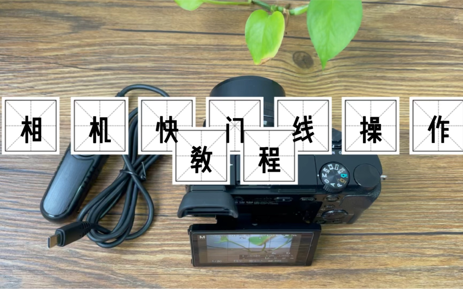 【芯鲜数码教程课】品色201有线快门线的操作视频
