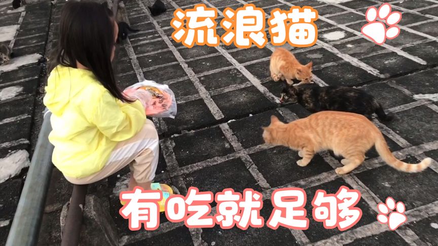 弟弟出生后陪伴姐姐的时间少了很多,假期只有陪伴喂楼顶的流浪猫