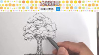 小风景速写画入门教程:简单又好看的大树速写手绘画!