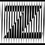 双泽君Z 