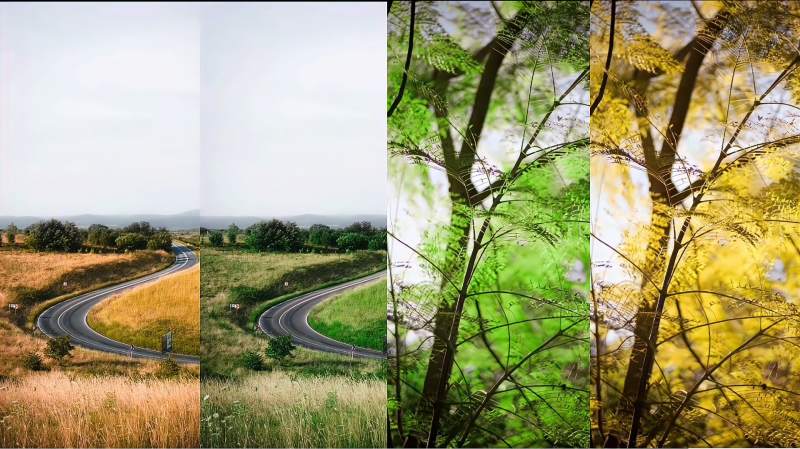 一分钟教会你如何在PS里将黄叶改为绿叶