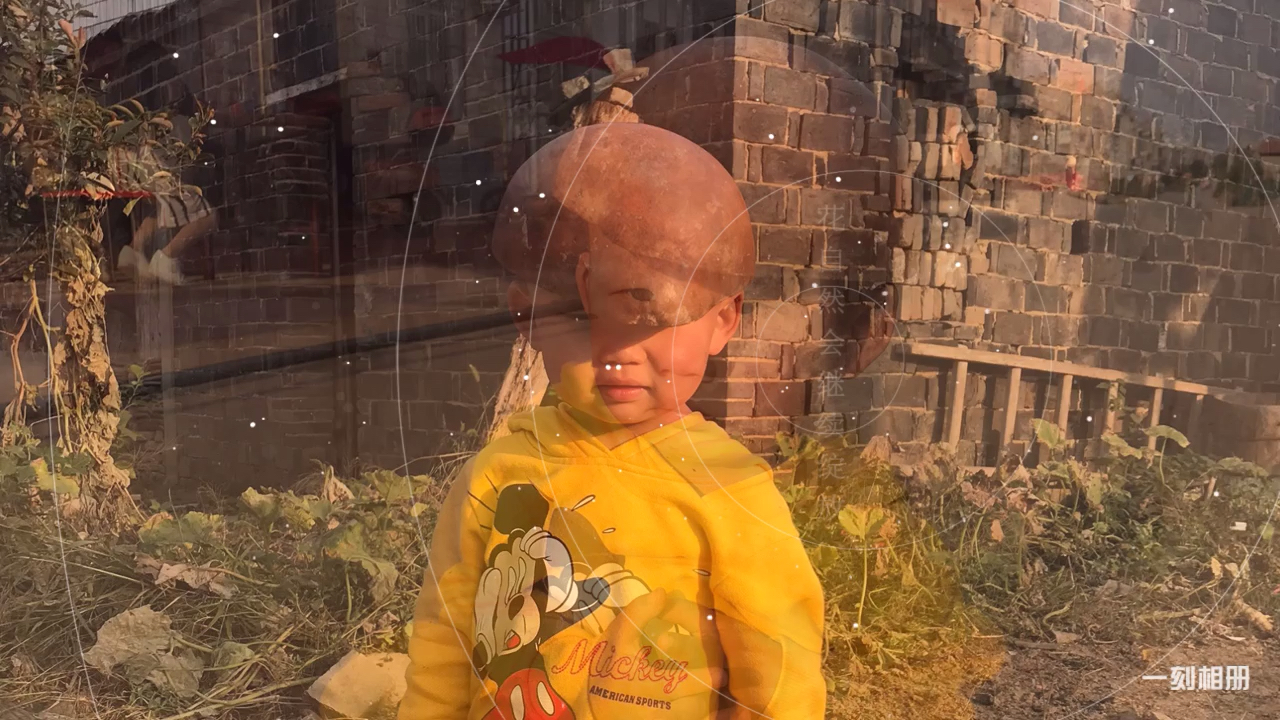 双十一种草大会