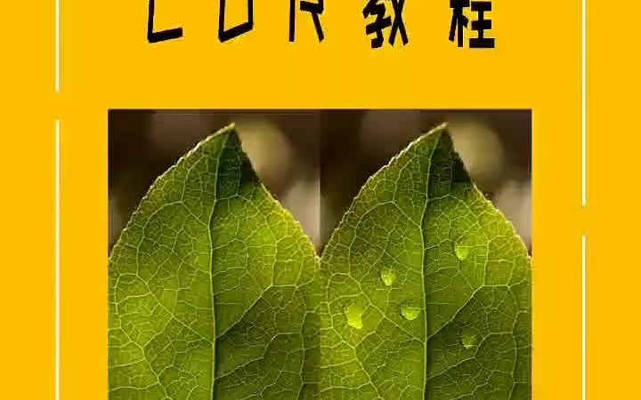 【CDR案例课程】CDR怎么绘制真实水滴效果 cdr自学多长时间可以学好