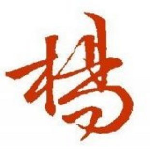 楊子葉的星期天 