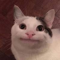 喵喵生活号 
