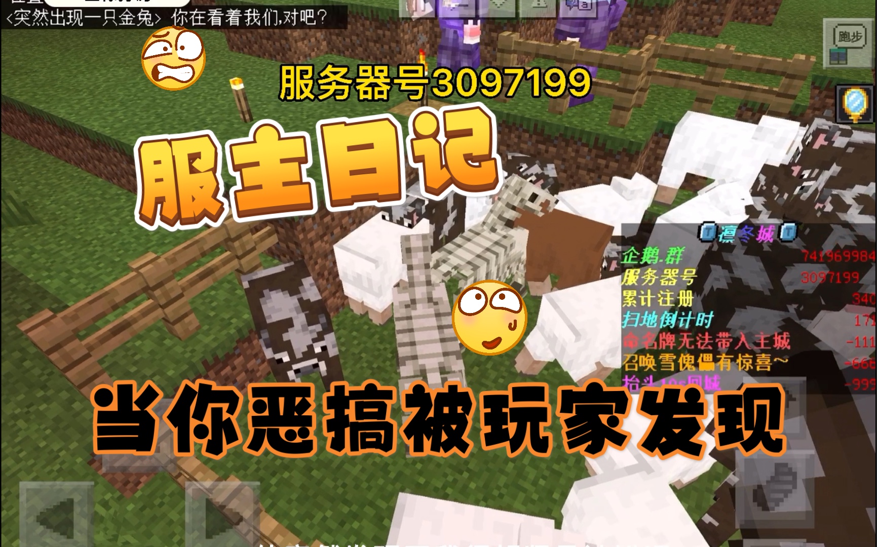 【服主日记】看我服务器的玩家都在干什么