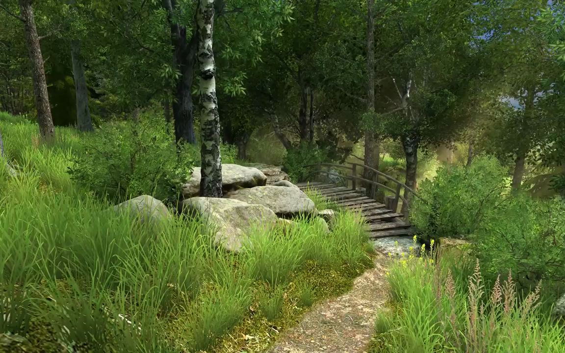 ...幽深林间小径绿色森林草地虫鸣鸟叫生机勃勃大自然实拍视频 led...