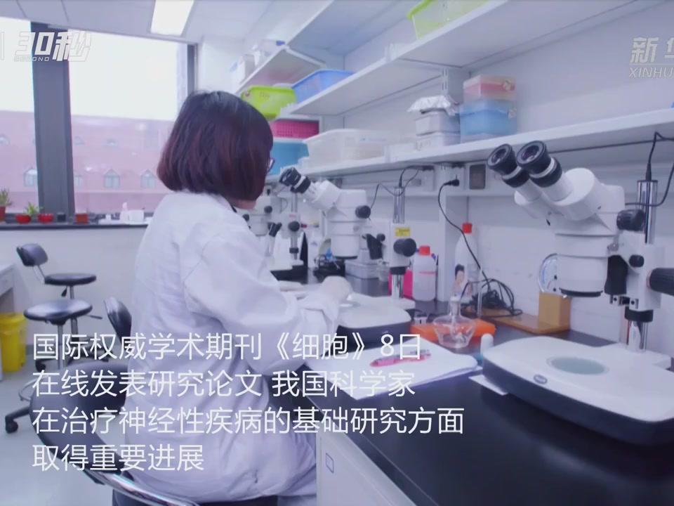 30秒丨永久性视力损伤或有望恢复 科学家首次在小鼠模型中实现