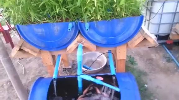 上面种菜,下面养鱼,循环生态农业系统,值得拥有