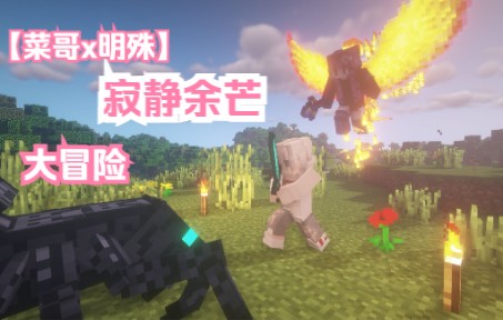 寂静余芒魔法世界大冒险-1