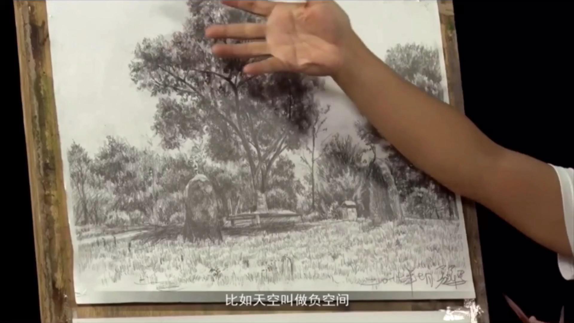 【华中农业大学风景素描】树木画法 风景园林必学,构图画法