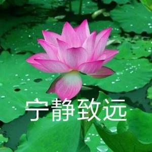妙语库 