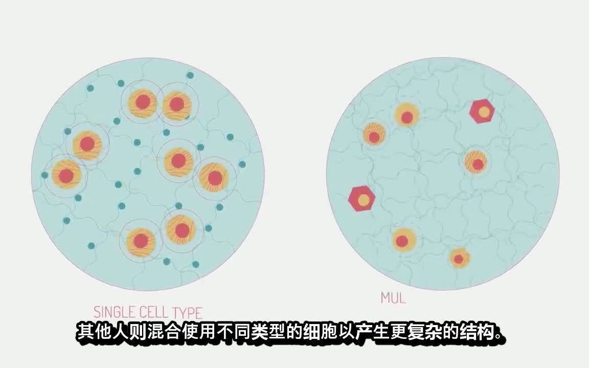 3D打印技术对人类的医疗帮助是巨大的,今天带你来看看它是如何打印出人体组织的?