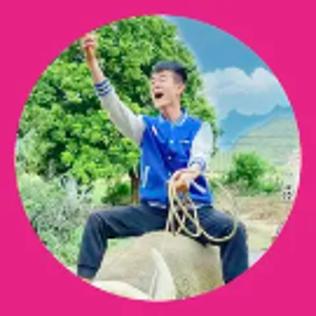 梦想雅阁的凯美瑞车主