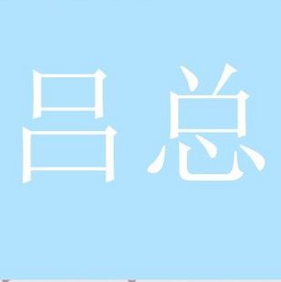 英俊的吕总 