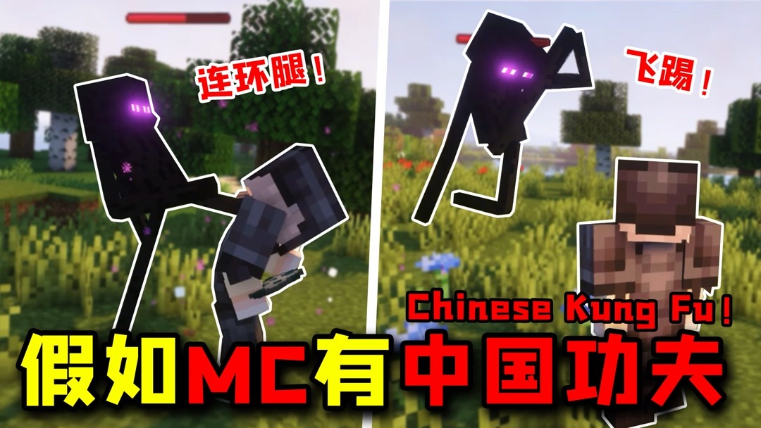 我的世界:假 如 M C 有 中 国 功 夫!