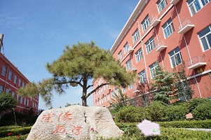 顶哥侃教育 
