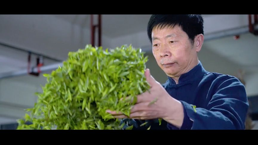 一片痴心做好茶 #我为安康富硒茶代言