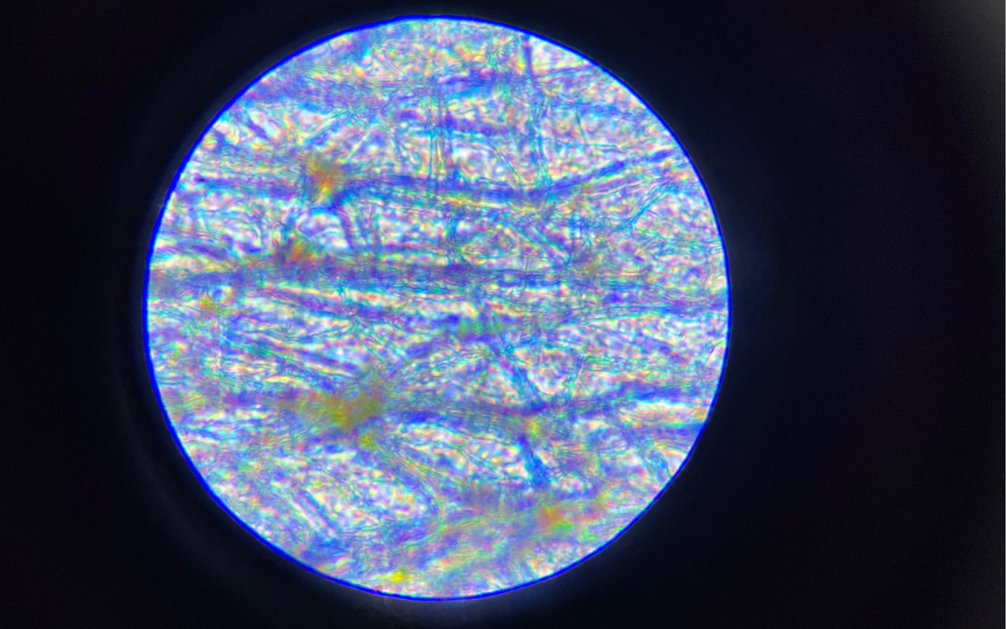 【过年日常】买了天文望远镜➕显微镜送给小侄子ߑ