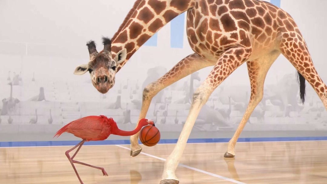 谁是动物运动会冠军 第1集 长颈鹿和火烈鸟的篮球赛