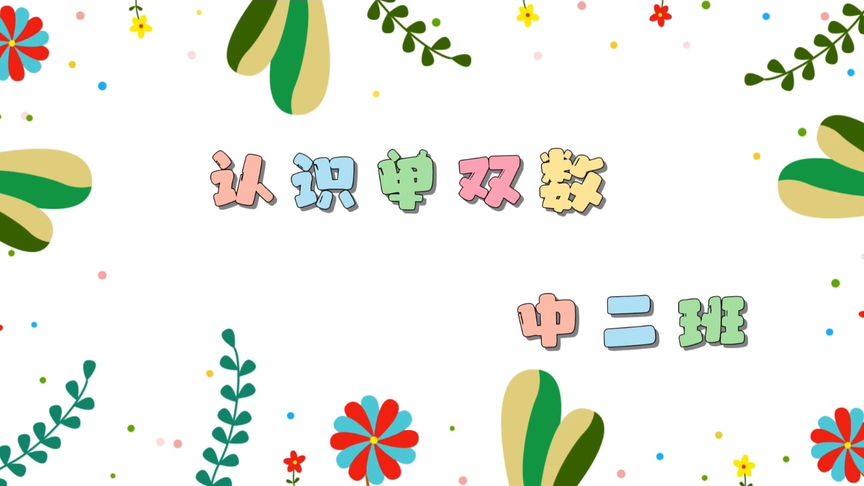 中班科学活动《认识单双数》#幼儿园 #课堂随拍