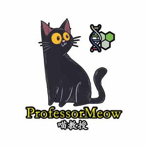 喵教授ProfessorMeow 