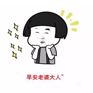 老婆大人电影 