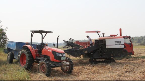 农村机械收割稻谷全过程,20亩只要一天割完,太方便了