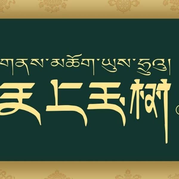 天上玉树藏地珍品仓 