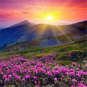 谁惹女业主得游戏 