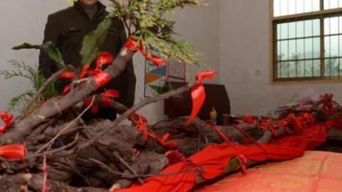 村民挖到根状物 疑似千年野生何首乌