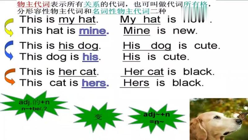 小学英语人称代词