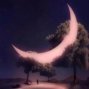 小麦子的乐趣空间 