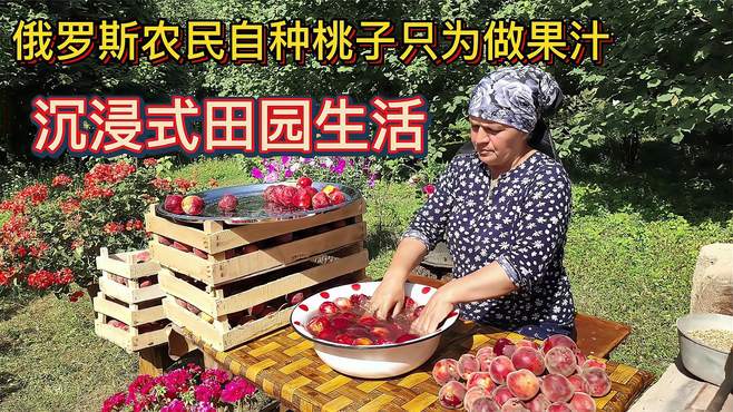 俄罗斯农民自栽桃子不为卖钱只为做果汁,沉浸式的田园乡村生活