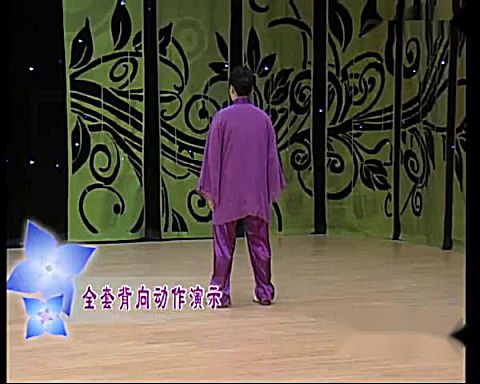 27 李德印-88式杨氏太极拳 全套背向演练