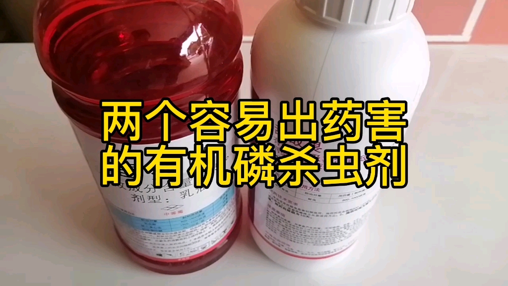 月公子讲农药安全使用，两个容易出现药害有机磷杀虫剂
