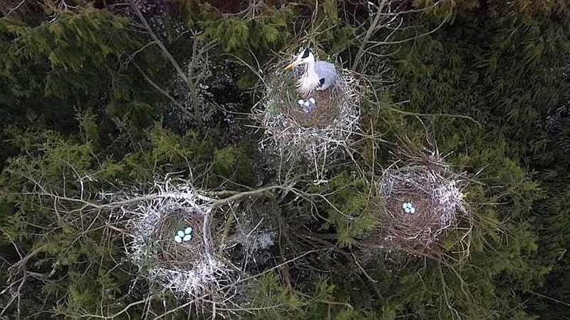 罕见!看到这一幕太壮观了