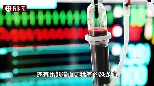 熊猫血、恐龙血,拥有稀有血型,到底是幸运还是不幸?