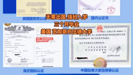 【无需出国.插班入学.三个月毕业】美国芝加哥丹伍德大学学士、硕士...