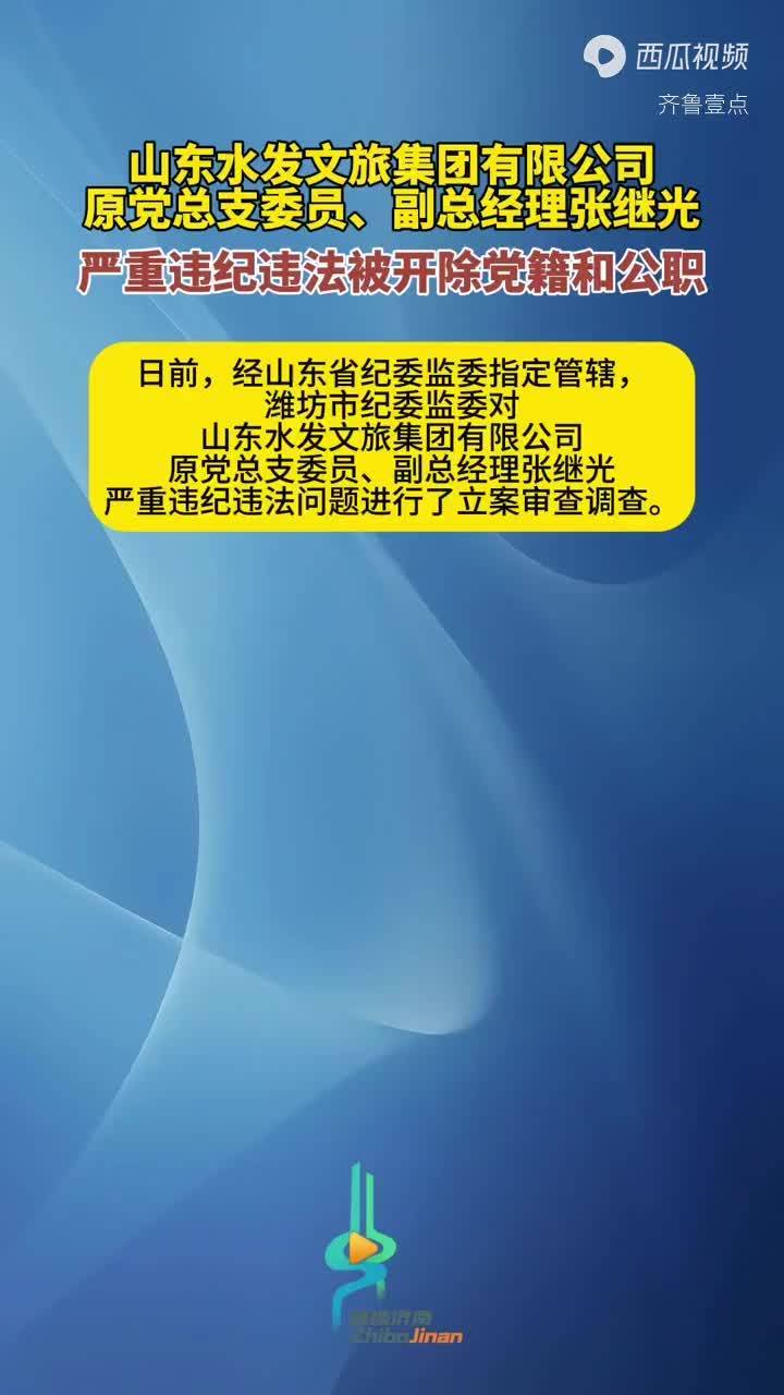 山东水发文旅集团有限公司原党总支委员、副总经理张继光严重违纪...