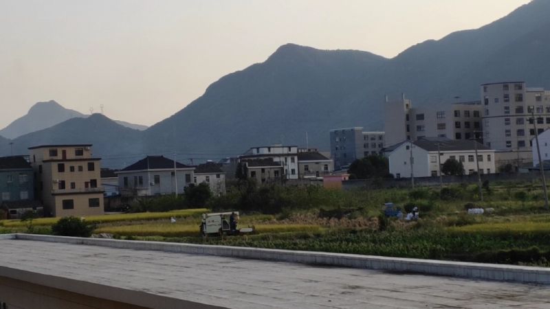 金色的稻浪,丰收的喜悦,农忙时节来了,体会一下!