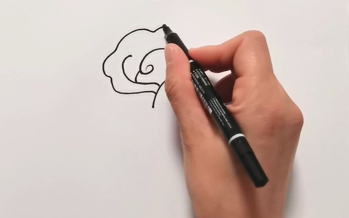 玫瑰花简笔画 简笔画 儿童简笔画 手绘