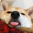 好妹妹广场舞教学 