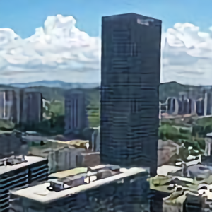 zhang洪玉 